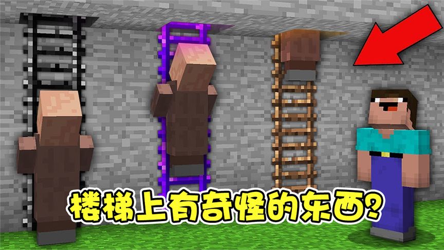 我的世界:阿呆家中坐,祸从天上来?东西全被阿呆试了个遍?