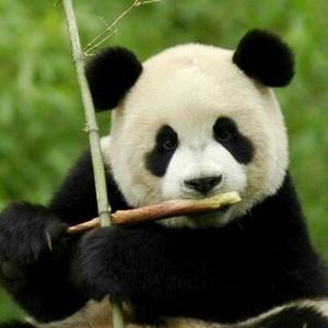 top一百分 