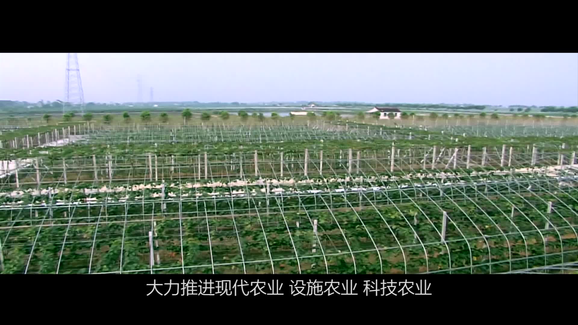 八斗镇招商引资宣传片
