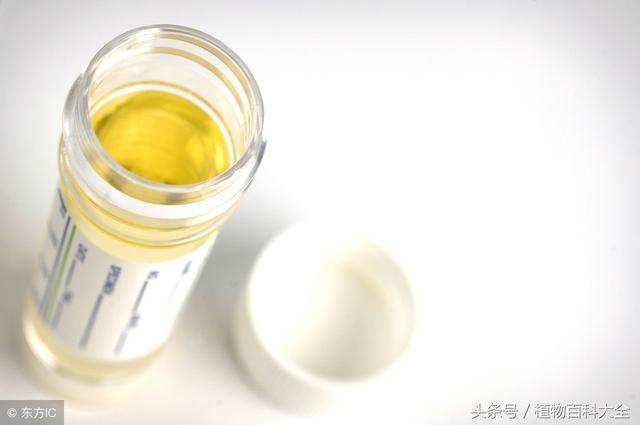 小嘻嘻就是我 