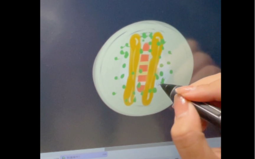 当画师试图用数位屏摊煎饼