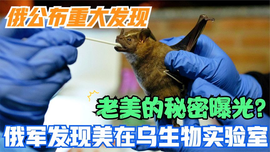 俄立下大功,老美这回是真惨了,乌生化实验室成老美“噩梦”