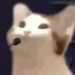 芒星又掉场均了 