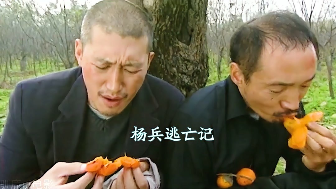 无处藏身之杨兵逃亡记1-4集