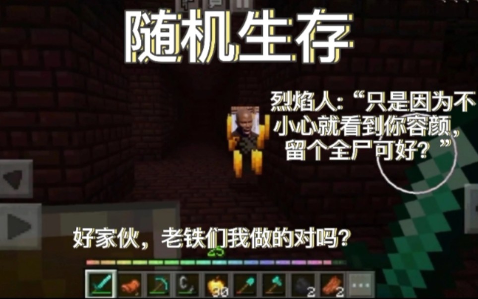 我的世界随机生存08:“开始到下界寻找堡垒,烈焰人竟有公母!”