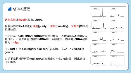 【之发爱分享】10 RNA有参转录组实验流程