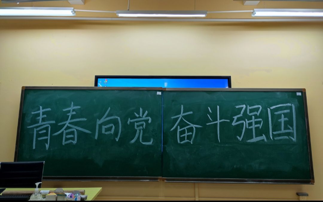 青春向党,奋斗强国——主题团日活动