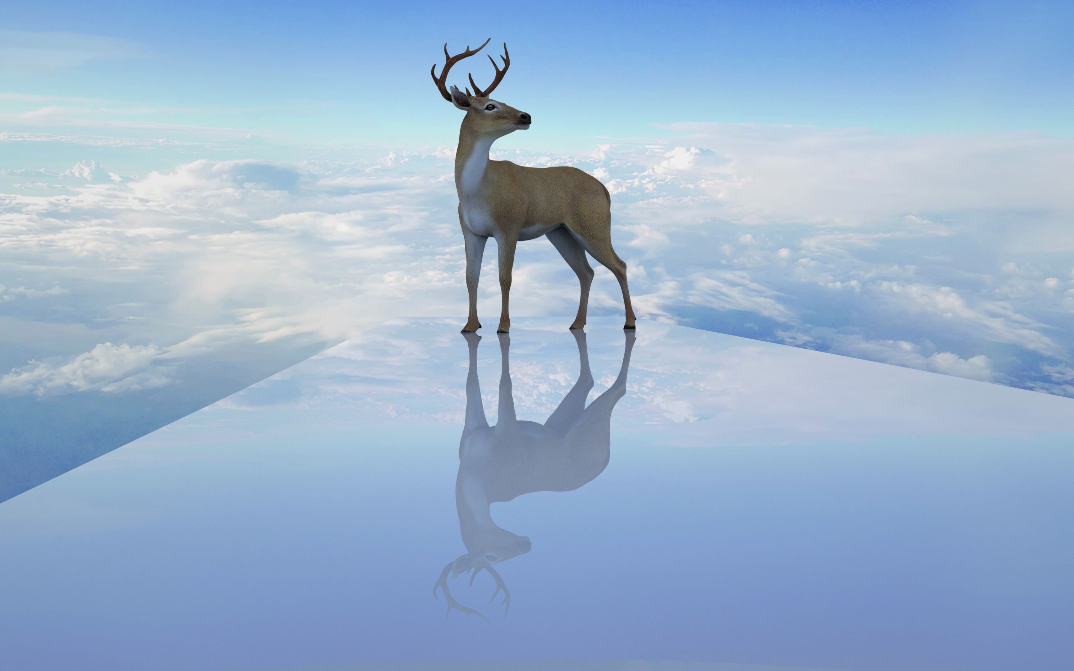 三维模型图片合成