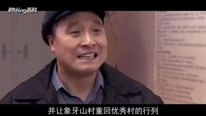 一分钟了解乡村爱情进行曲