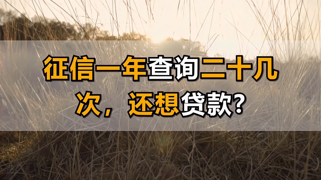 征信一年查询二十几次,还想贷款?