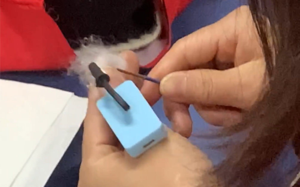 采耳前的小准备,卷棉棒消毒水卫生纸各类采耳工具