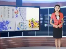 数字练字 练字先练毛笔还是钢笔 庞中华硬笔书法字帖