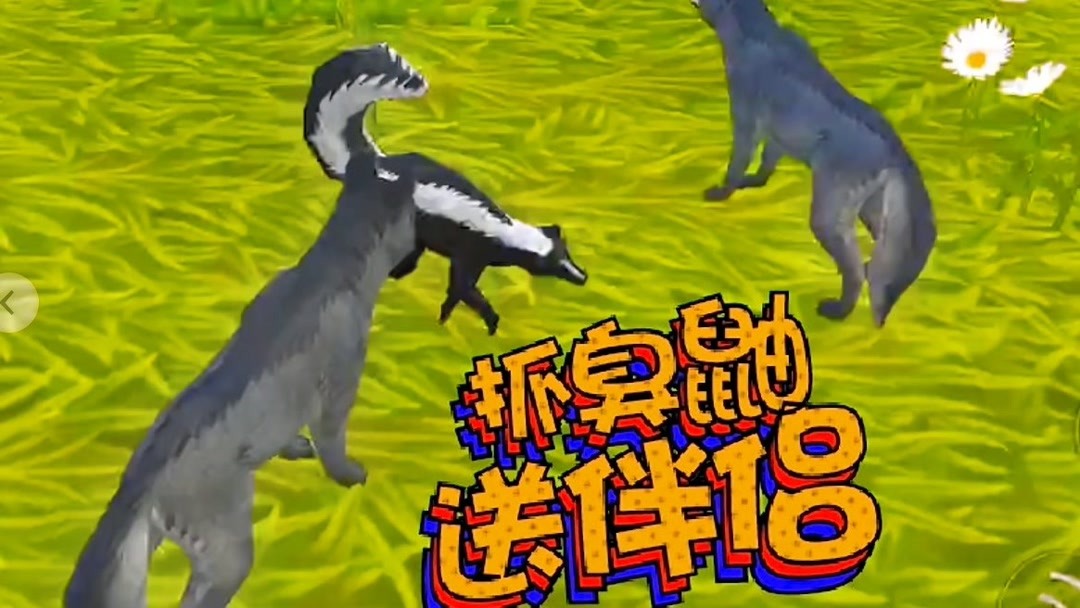 抓臭鼬送伴侣 狼模拟器游戏