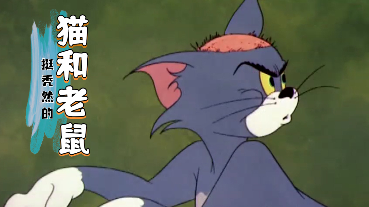猫和老鼠:汤姆被一斧头削掉头发,看来它也适合地中海这个发型