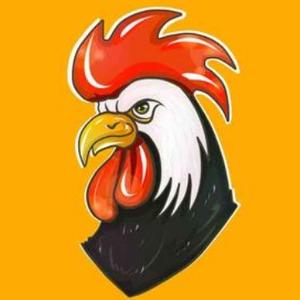 鸡哥家的二少爷 