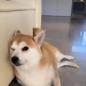 名主自由 