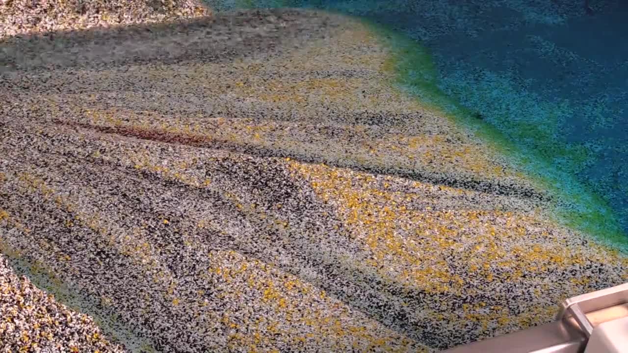 ...(三角洲、冲积扇、植被土壤)主要地貌类型的形成过程图,直接保存!