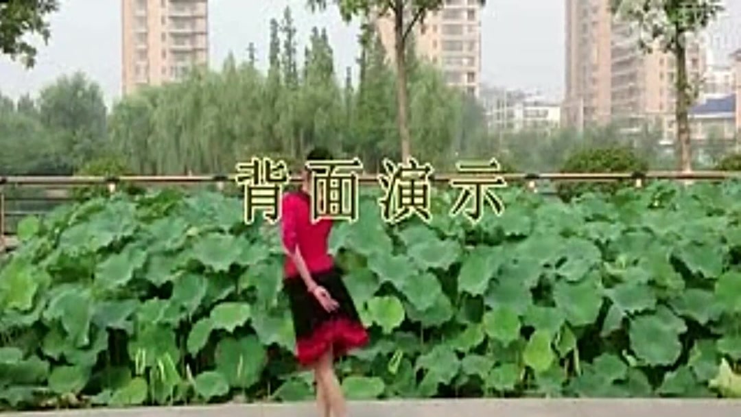 16--非常完美广场舞贺月秋《美极了》分解背面