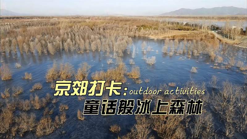 无人机飞越京郊冰上森林,被大片童话般梦幻美景所吸引而流连忘返