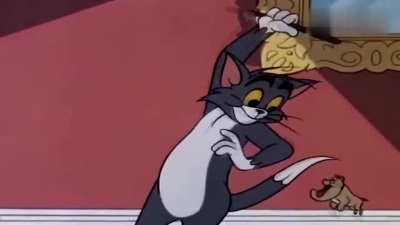 猫和老鼠:这样的小狗狗,实在是太坚强了,加油