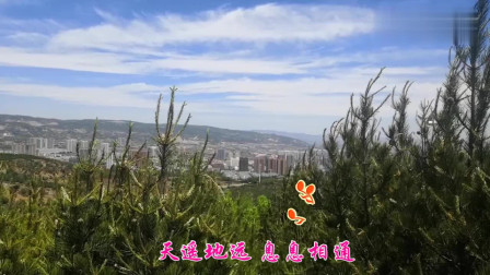 董文华经典老歌《望星空》,歌声嘹亮甜美,百听不厌