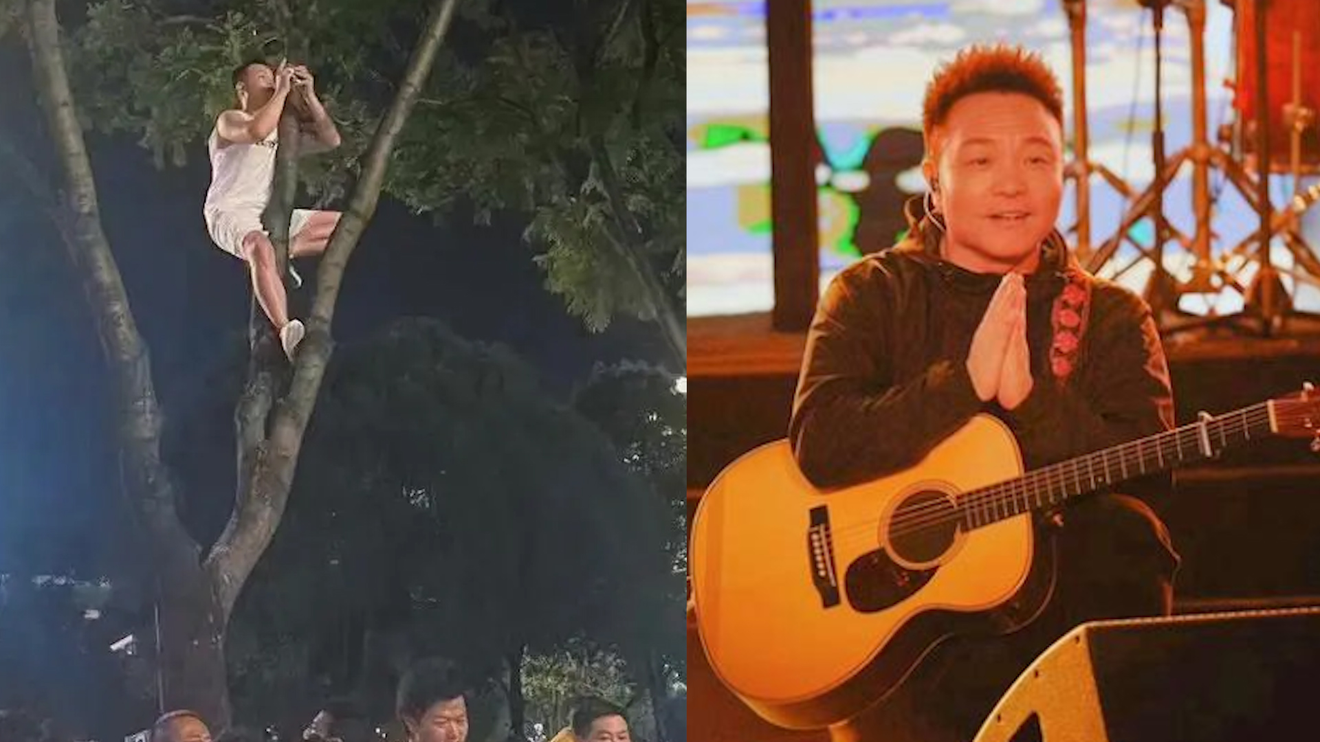 许巍露天演唱会男子爬树观看,现场万人空巷,歌声一响网友想辞职