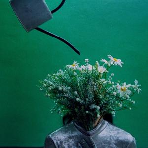 想和你在一个浪漫的世界死去 