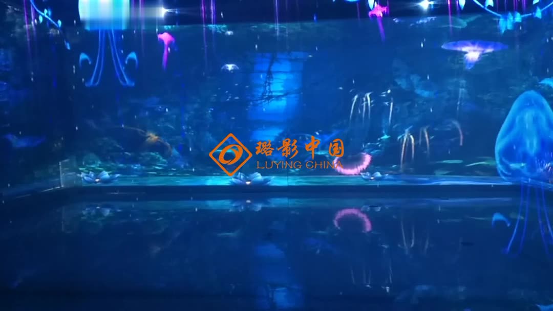 4D全息宴会厅_3D全息婚礼--阿凡达--璐影中国