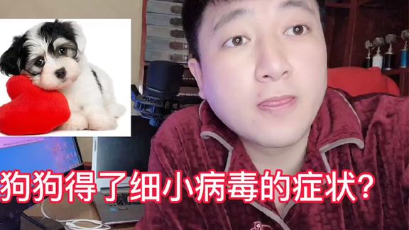 狗狗得了细小病毒有什么症状?