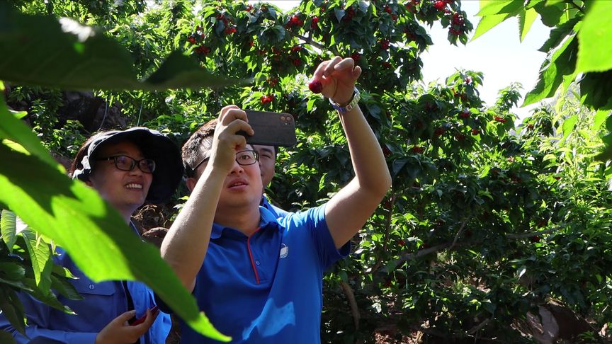 未来农业发展需要凝聚社会各界的资源 #五一#振兴乡村 #抖音助农