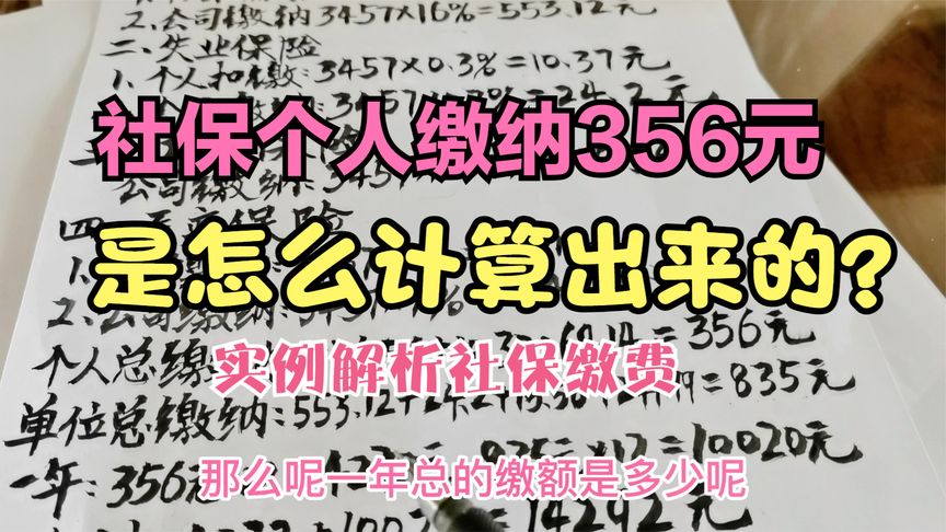 私营企业社保,个人缴纳356元是咋计算出来的?实例解析社保缴费