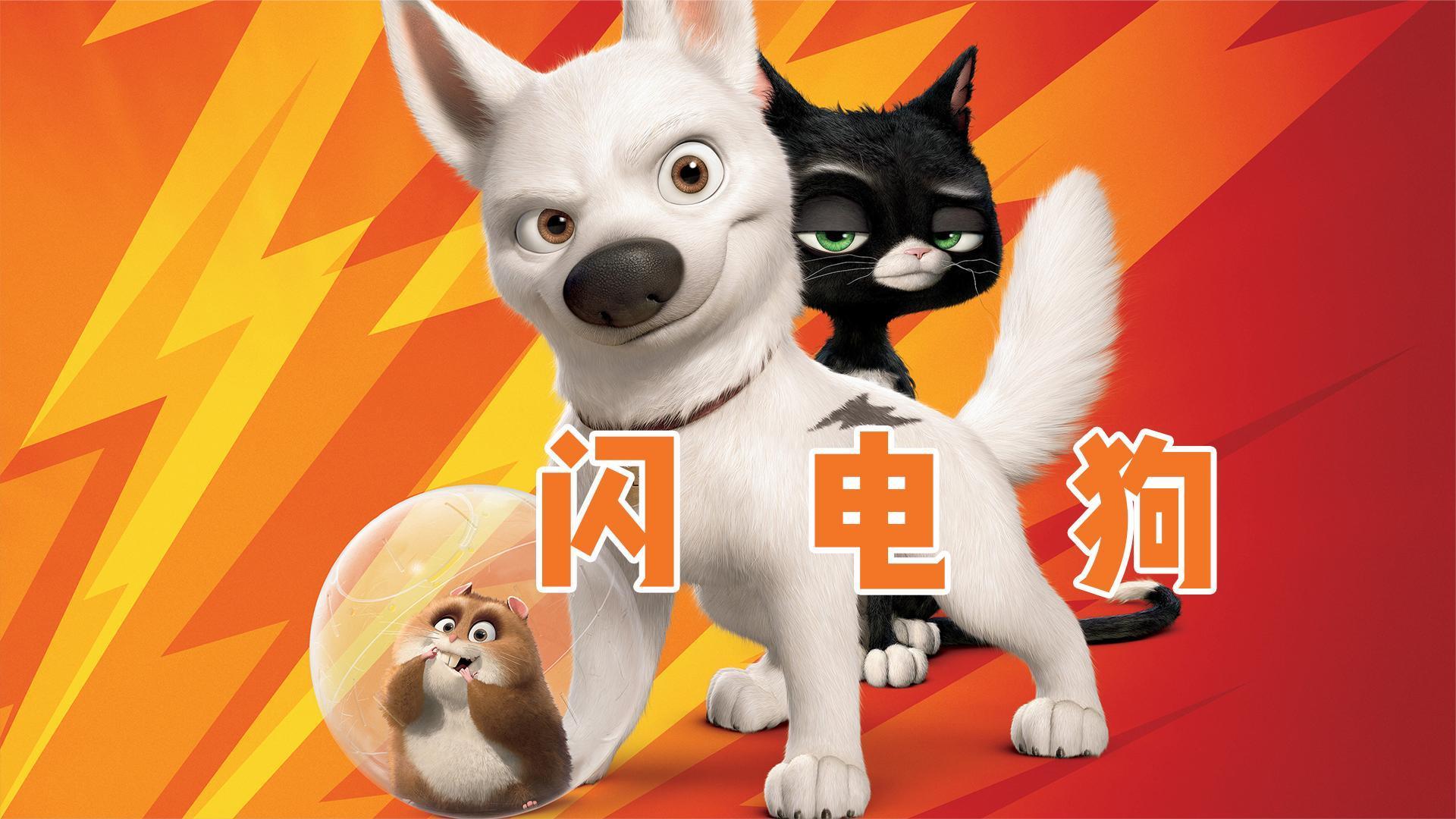 高分动画电影,好莱坞的小狗不懂特效,总以为自己有超能力!