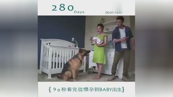 90秒看完母亲从怀孕到baby出生全过程,好感动!