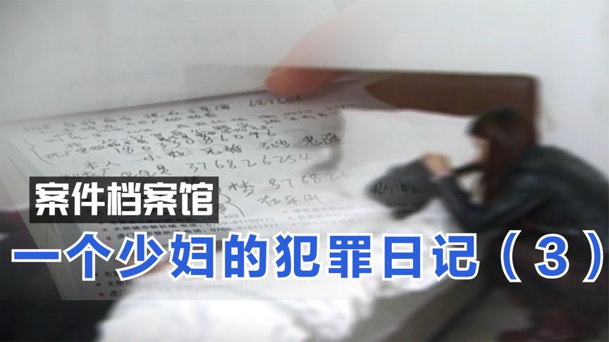 案件档案馆:一个少妇的犯罪日记(3)