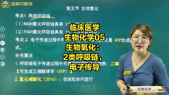 临床生物化学05生物氧化:2类呼吸链,电子传导过程中释放的能量