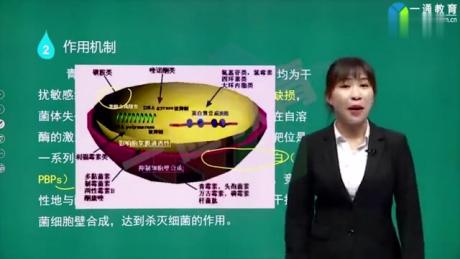 执业药师考试药二-青霉素类抗菌药|山河医学网