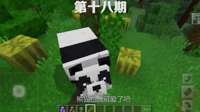 我的世界:推荐丛林神庙的世界种子,还有野生大熊猫出没