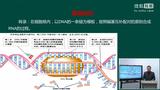 生物11 基因的表达(上)