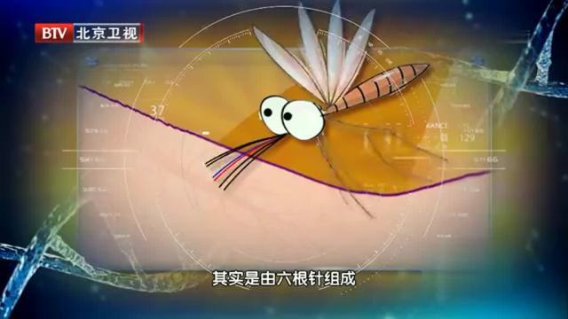 蚊子为什么能传播细菌病毒让人生病呢?原因和这个有关