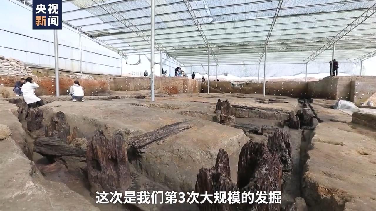 湖南出土4700年前大型木结构建筑遗迹 为中国考古史罕见