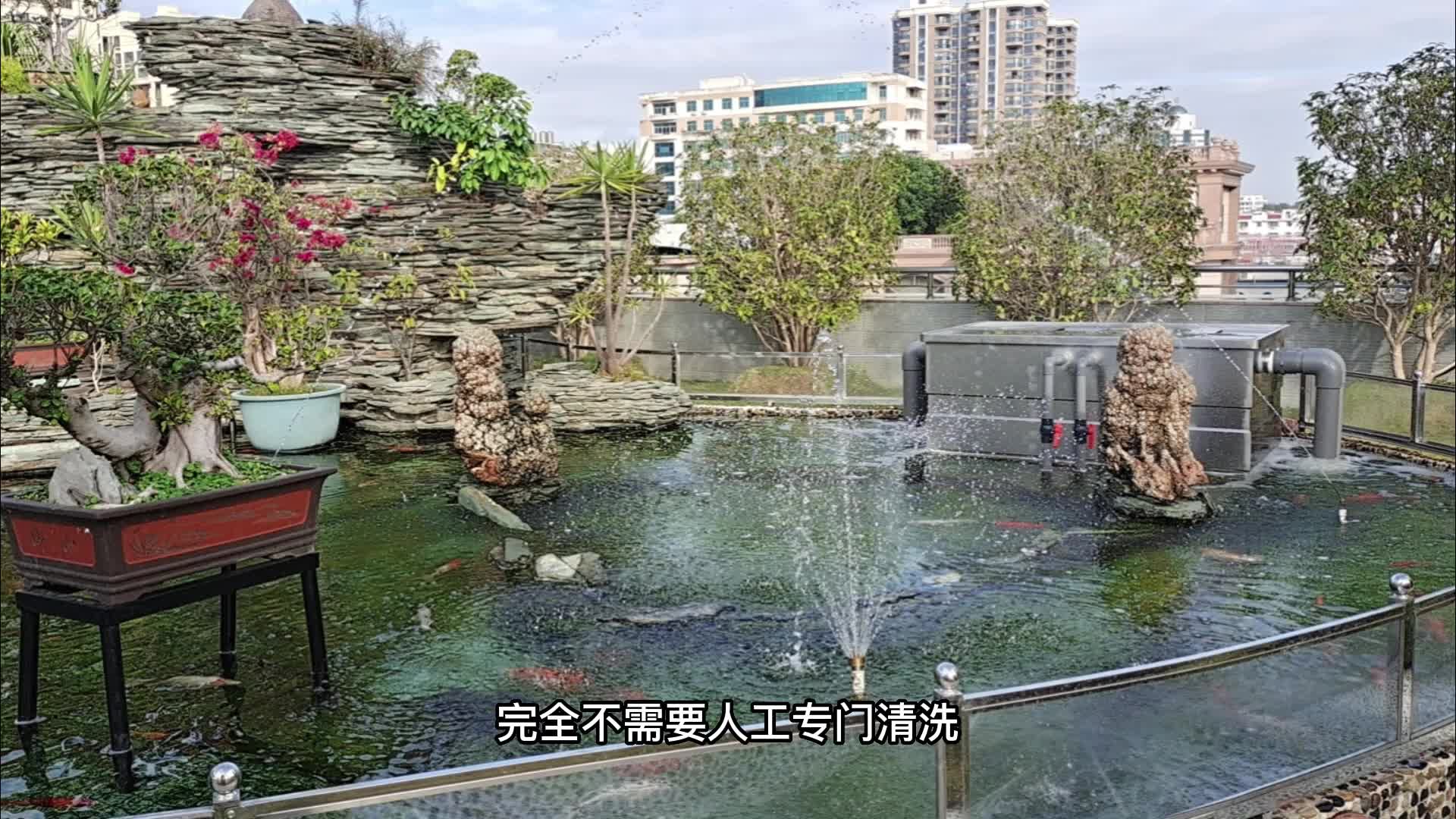 智能一体化鱼池过滤器和传统过滤池的区别(二)看完这些是不是觉得对...