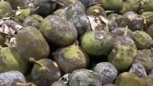 没来得及交电费,房东立刻断电,几十万打水漂了