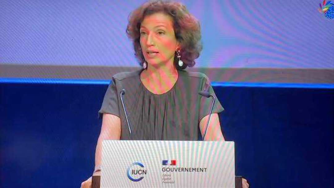 联合国教科文总干事致辞第七届世界自然保护大会开幕式