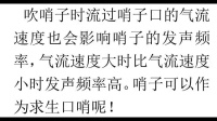 小制作——吸管口哨(李展业)