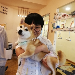 兴奋的大鹅 