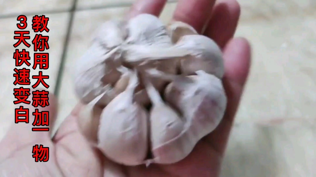 不起眼的大蒜,大作用.