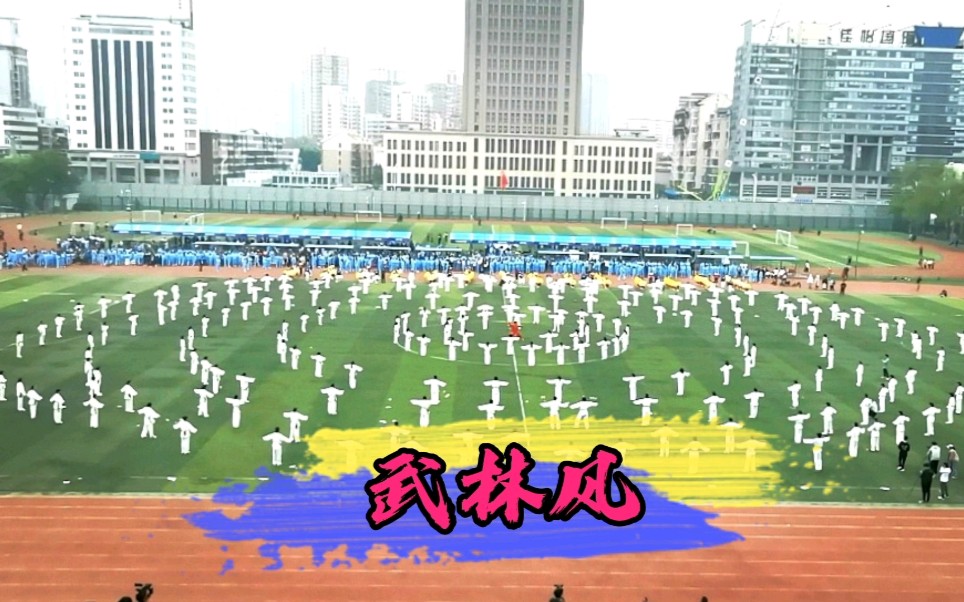 【天津大学校运会开幕式】中华武术表演