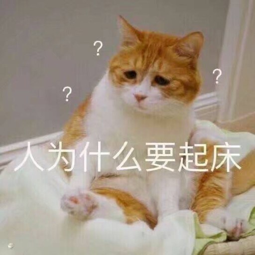 某小布 