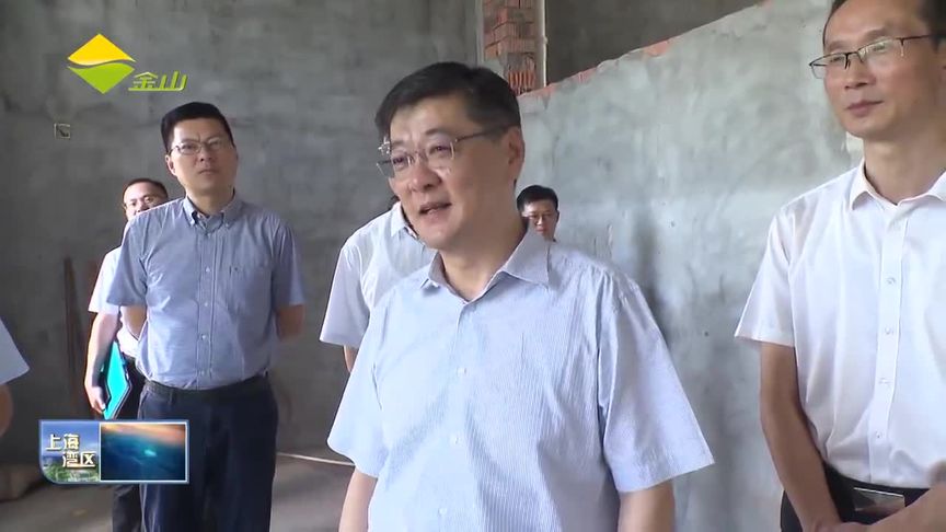 刘健带队调研枫泾镇“我为群众办实事”联系项目