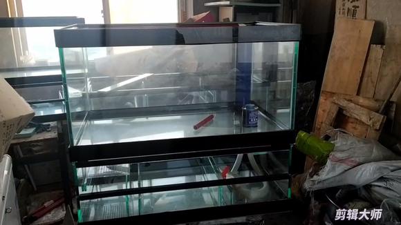 打卡82天,鱼缸玻璃的价格浮动,今年为什么涨价这么多
